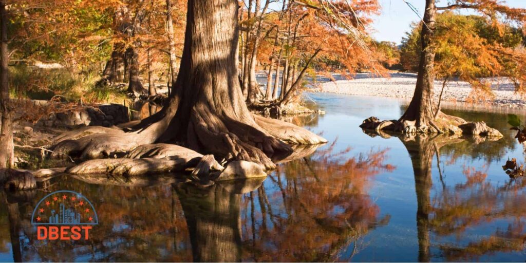 Trip Down the Frio River in Dallas [2026]