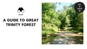 Top 7 Camping Sites in Dallas That’re Worth Packing For [2026]